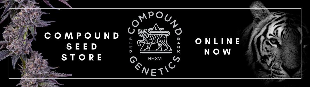 Compound Genetics Merch – Compound Genetics Clothing
